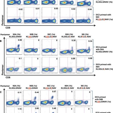 Cross Reactivity Of T Cell Lines Primed By Ns31406 Peptide Variants
