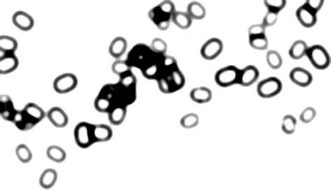 Css Blur Effect Showcase Examples