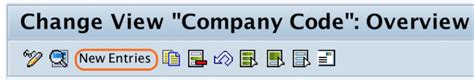 What Is Company Code How To Define Company Code In SAP