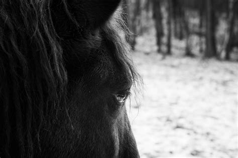 200000 Free Erotic Wallpaper And Beautiful Wallpaper Photos Pixabay