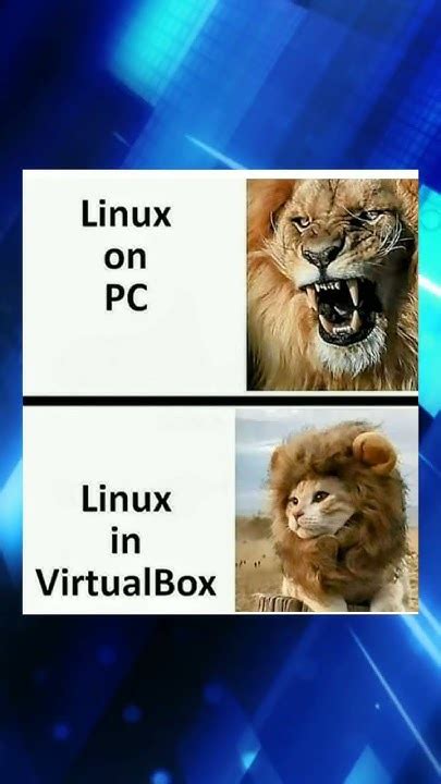 Fy Fyp Tech Techtok Soft Software Code It Technology Youtube