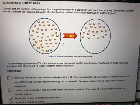 Experiment 2 Genetic Drift 1 Create A Data Table To