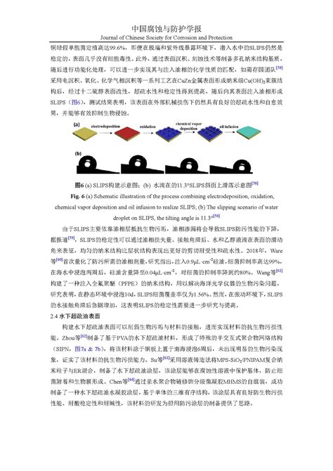 基于表面微结构复制与润湿性调控的水下仿生防污技术研究进展