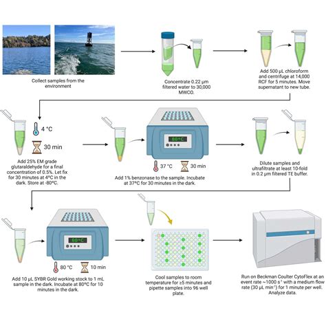 High Throughput Flow Cytometry For Viral Enumeration Of Aquatic Samples