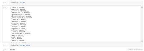 Transformers里的autotokenizer和automodel的原理分析（一） Csdn博客