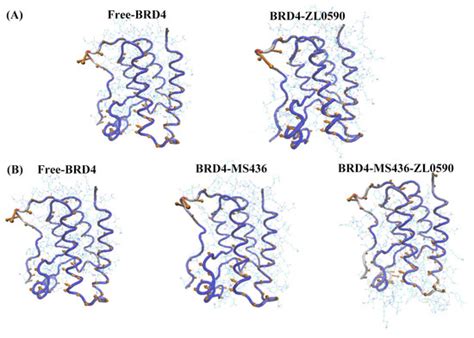 Molecular Dynamics Simulations Combined With Markov Model To Explore