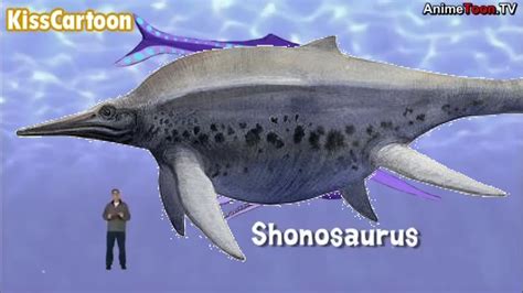 Dinosaur Discoveries Shonisaurus Youtube