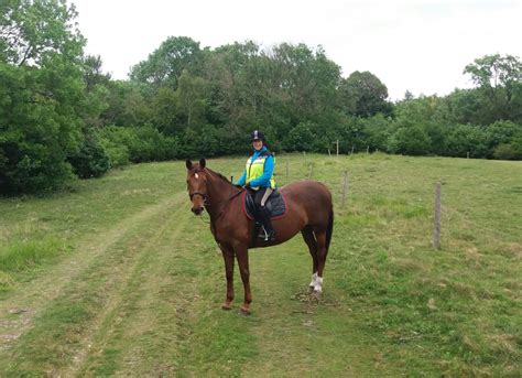 Ruby And Jo Riding Centre