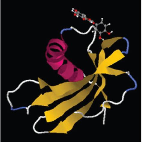 Binding Predictions Obtained By Molecular Docking Molecular Docking Download Scientific