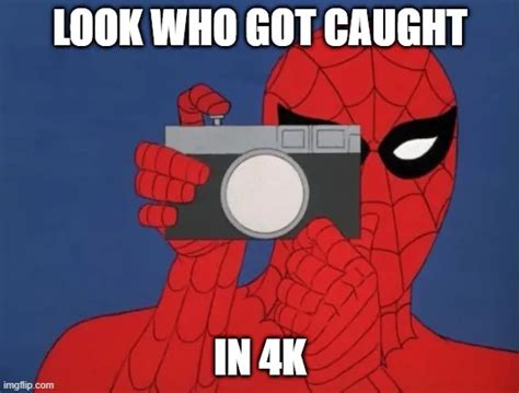 Look Who Got Caught In 4k Meme Piñata Farms The Best Meme Generator And Meme Maker For