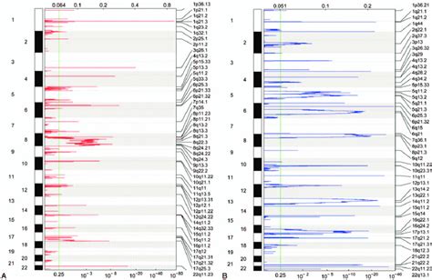 Amplified And Deleted Regions Of Copy Number Variations Cnvs On