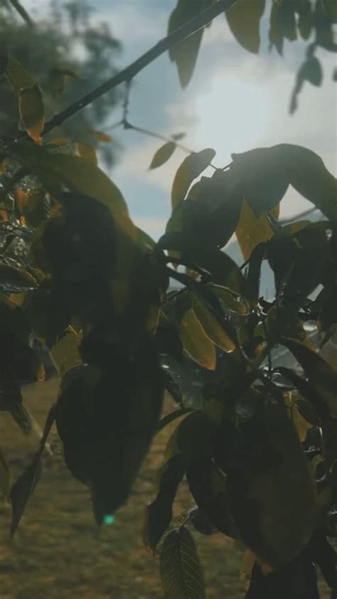 Почему бы не получать удовольствие от всего что происходит вокруг