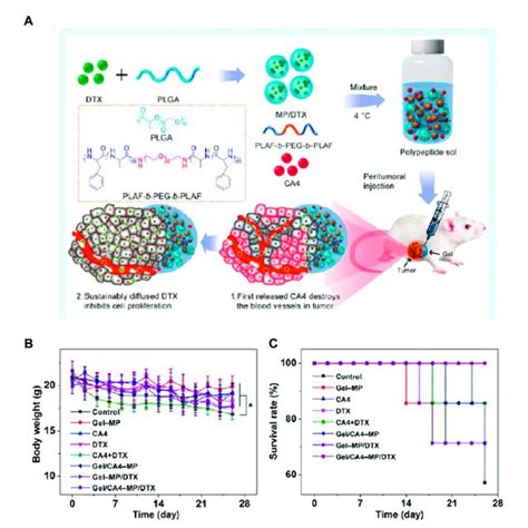 A Sequential Drug Delivery With Gel Mp Construct Showing Preparation