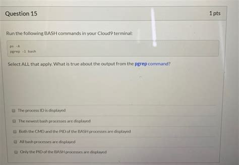 Solved Question 12 1 Pts Select All That Apply Which Bash