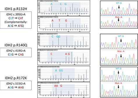 Detection Of Idh Mutations By Dideoxy Sequencing And Pyrosequencing