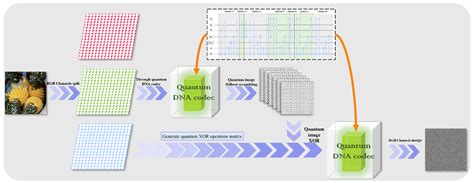 quantum image encryption based on quantum dna codec and pixel level scrambling
