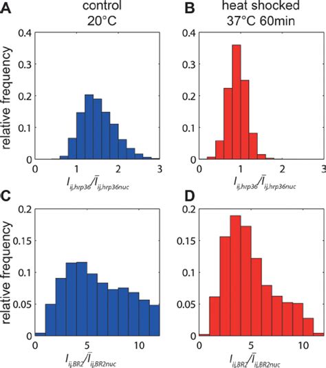 quantification of the transcriptional activity and transcript