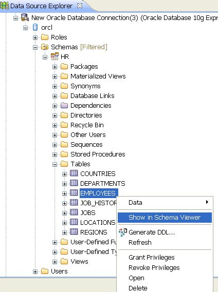Object Relational Mappings Using Sql Schema Viewer