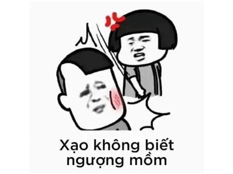 Cười thả ga với meme đánh nhau chó mèo đấm nhau meme Cười thả ga với meme đánh nhau chó mèo đấm nhau meme