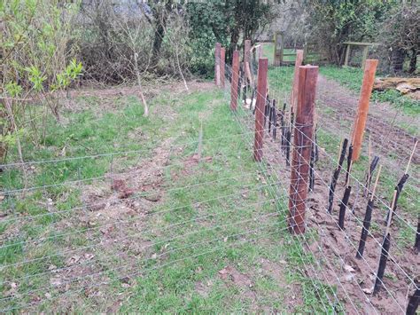 An English Homestead Planting Elm Trees