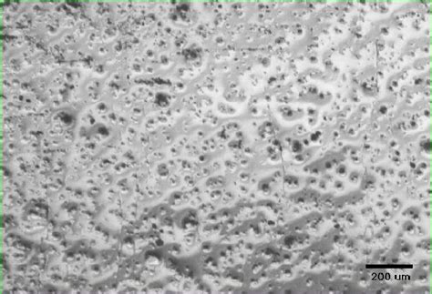 Image Of The Surface Microstructure Of The Composite Mo 10x