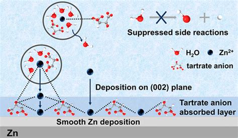 A Double Functional Additive Containing Nucleophilic Groups For High Performance Zn Ion