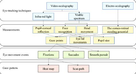 The Eye Tracking Techniques And Eye Tracking Data Download Scientific Diagram