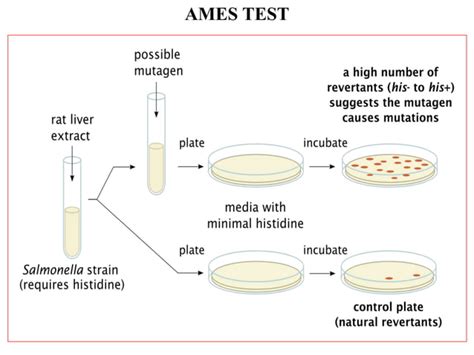 Isolation And Detection Of Mutants Pptx Chemistry Science