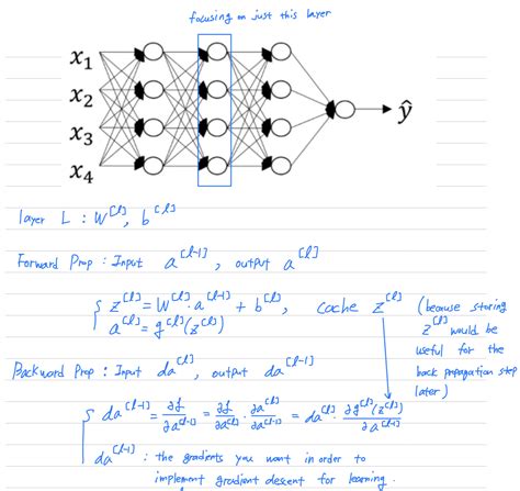 Week 4 Deep Neural Networks Deep Neural Network