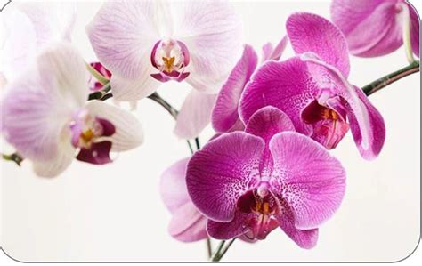 Madhu Mitha On Linkedin Snsinstitutions Snsdesignthinkers Designthinking