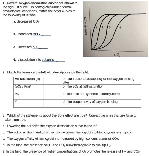 Solved 1 Several Oxygen Dissociation Curves Are Shown To