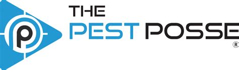 Tutor Certificate The Pest Posse