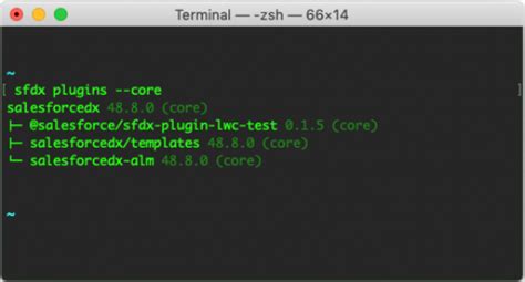 Open Sourcing Salesforce Cli Salesforce Developers Blog