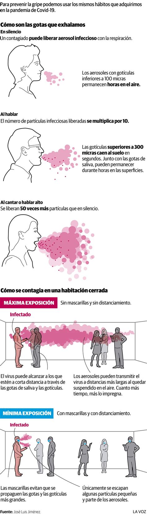 Influenza B Qué Es Y Cuáles Son Los Síntomas Del Virus Que Mató A Una