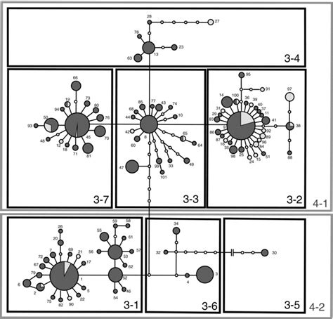Haplotype Network Of Combined Data Showing Third And Fourth Level
