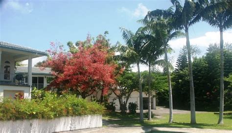 linked in problem solved