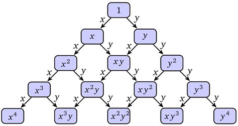 Graph G For The Polynomial Of Degree Download Scientific Diagram