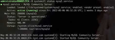 How To Install Mysql On Ubuntu 2004 Database Mart