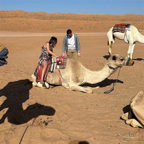 Desert Safari 2026 Alles Wat U Moet Weten Voordat Je Gaat Met Foto