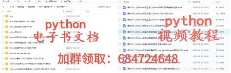 Python习题七 函数（上）编写一个函数用来描述记者与这100只企鹅 Csdn博客