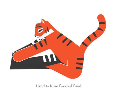 Janu Sirsasana Pose Illustrations Royalty Free Vector Graphics And Clip