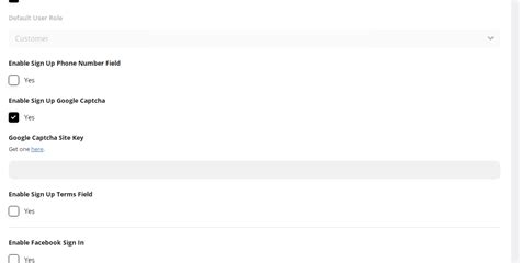Google Captcha Brikk