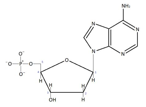 A Sketch The Structural Formula For The Sugar Beta D 2 Quizlet