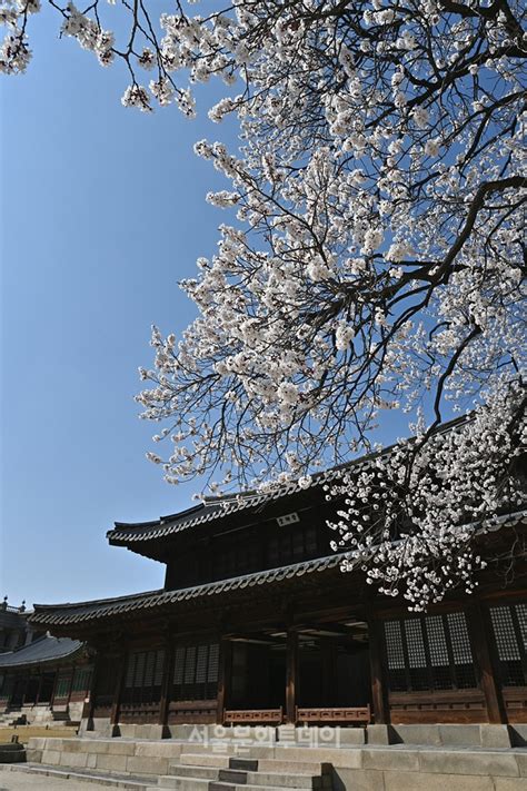 문화재청 봄맞이 창덕궁ㆍ덕수궁 특별관람 운영 서울문화투데이