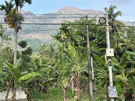 Thilina Jayasinghe On Linkedin Teamhike Conifsglobal