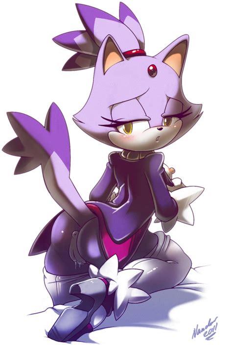 Nancher Blaze The Cat Sega Sonic Series Highres 1girl Ass