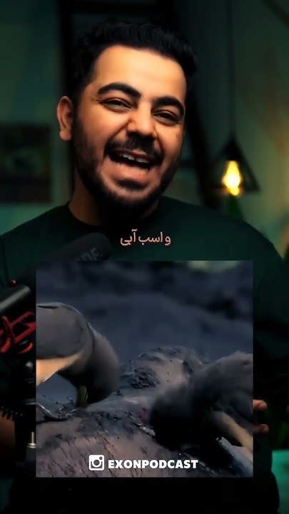 ماجرای اسب آبی و کنه خوارها Youtube