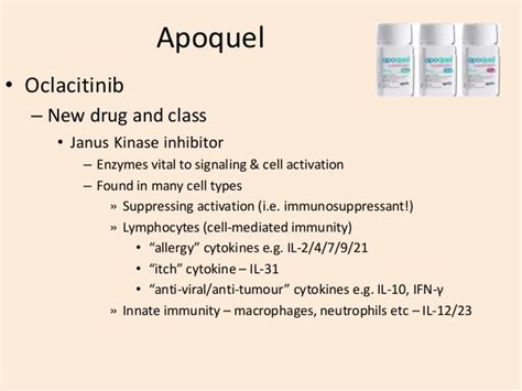 Apoquel Dosing Chart Kg