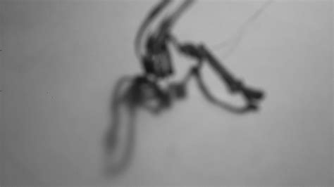 Light And Shadow Test 2 Loops And Tails