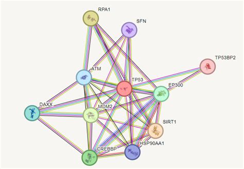 干货分享 Cytoscape软件对经string数据 Ppi网络图美化 每日生物评论